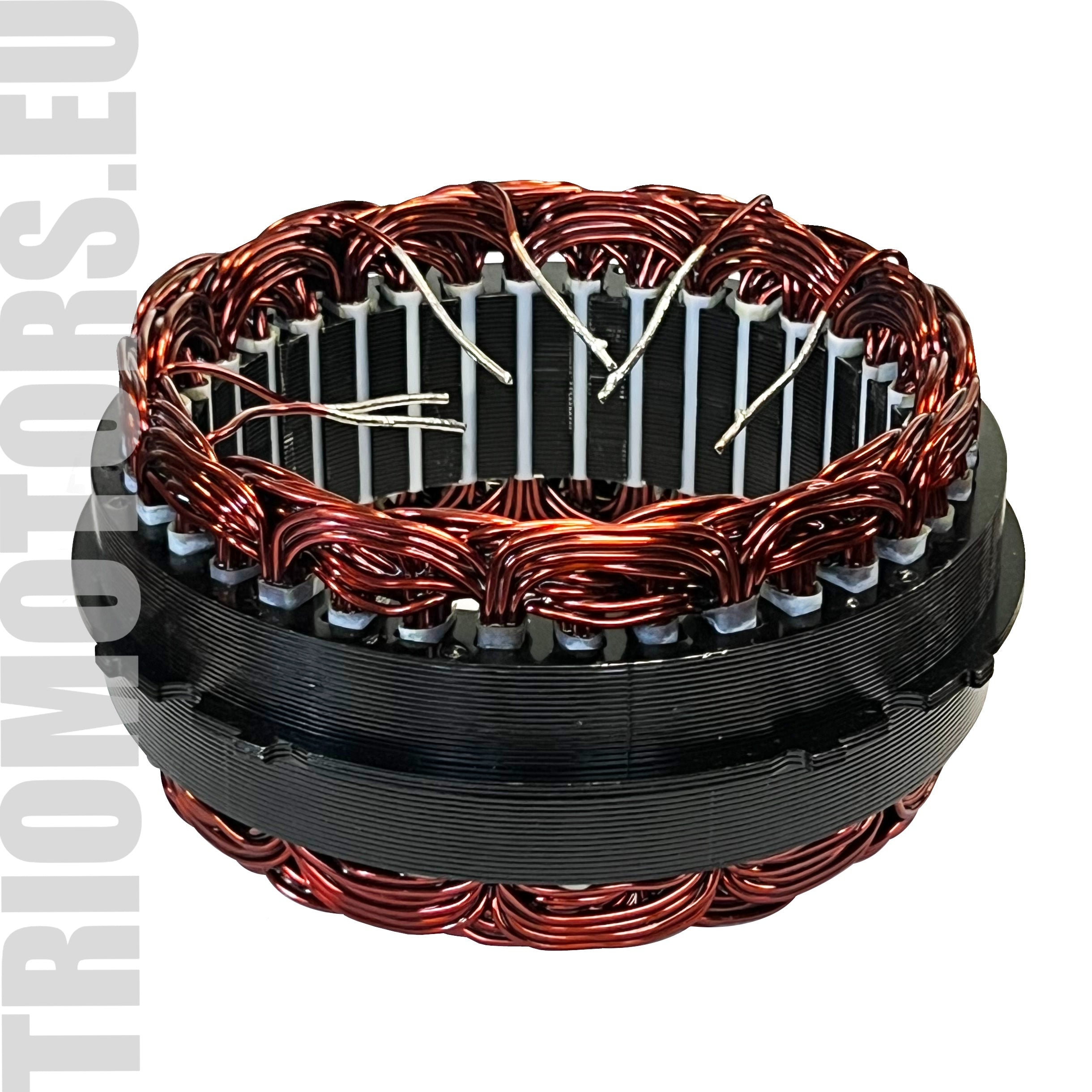 AS0038 Alternator Stator – TRIOMOTORS