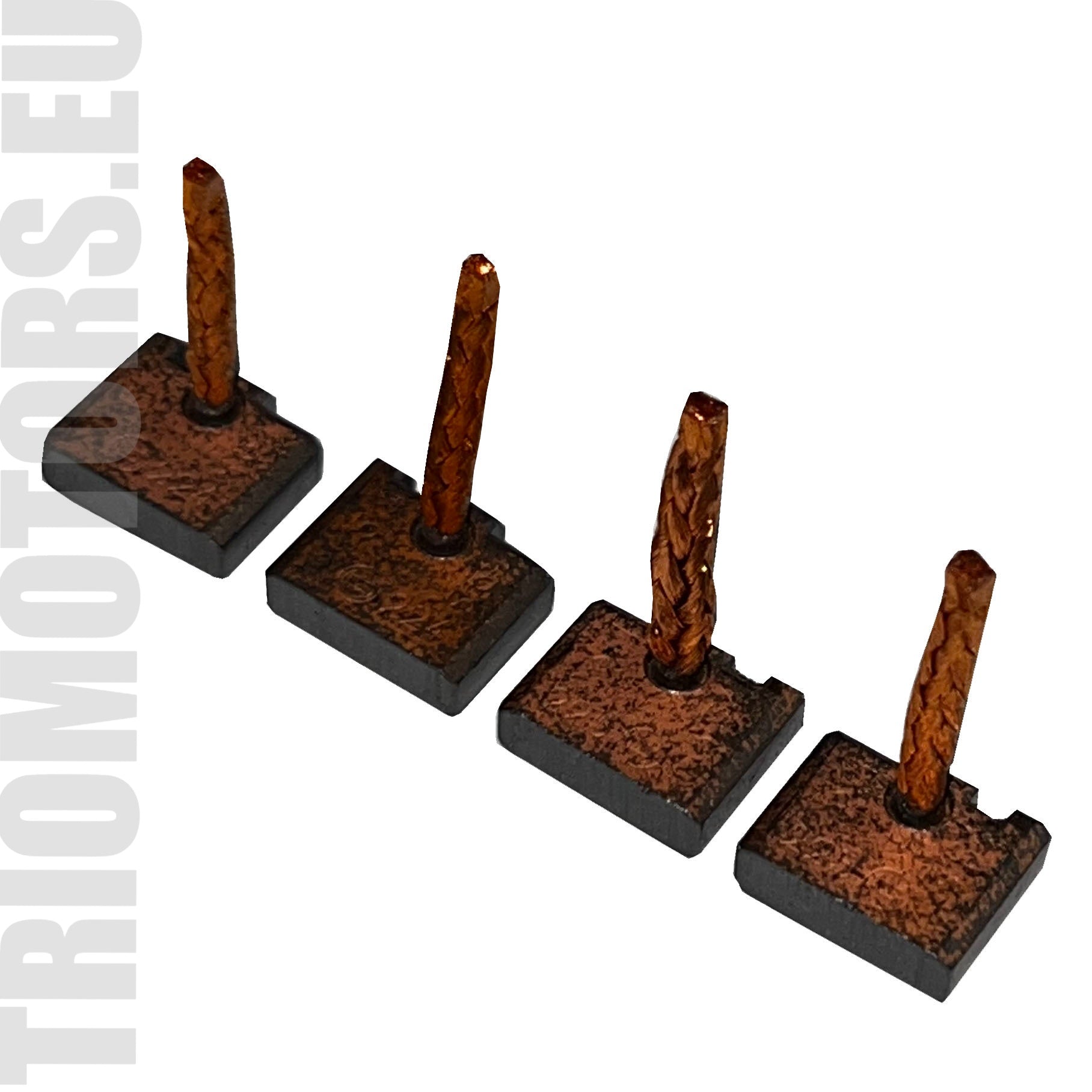 0 1166 1 Starter Brushes – TRIOMOTORS